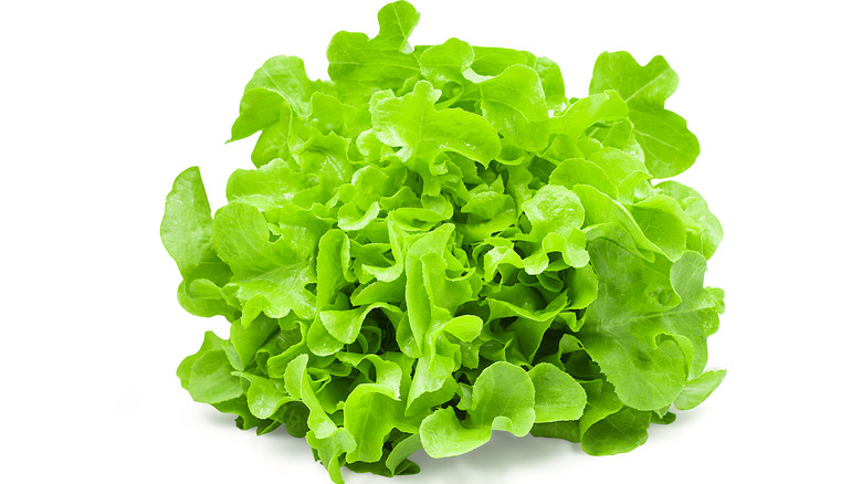 19 Types Of Lettuce For Salads, Sandwiches, And Beyond