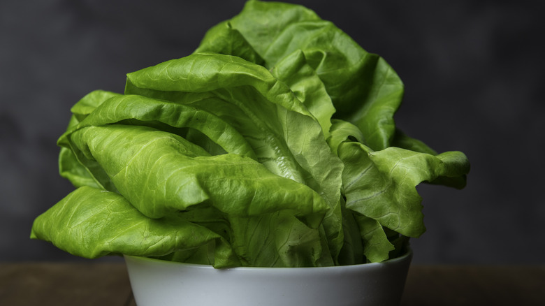19 Types Of Lettuce For Salads, Sandwiches, And Beyond