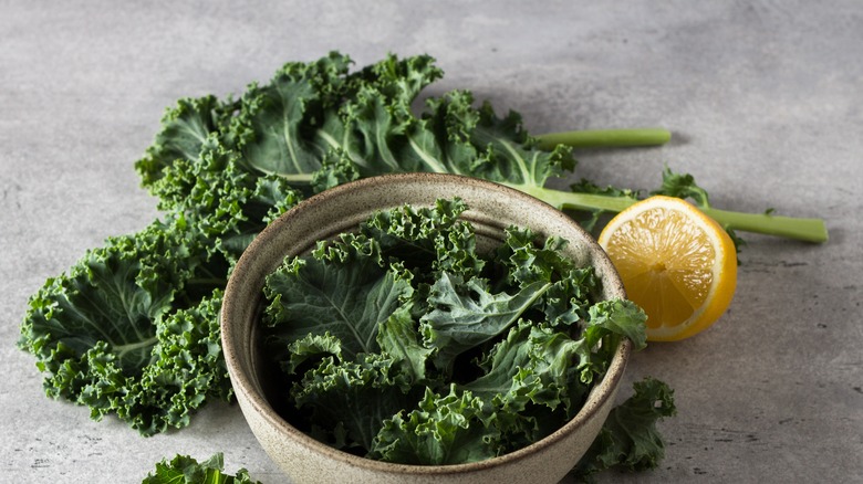 19 Types Of Lettuce For Salads, Sandwiches, And Beyond