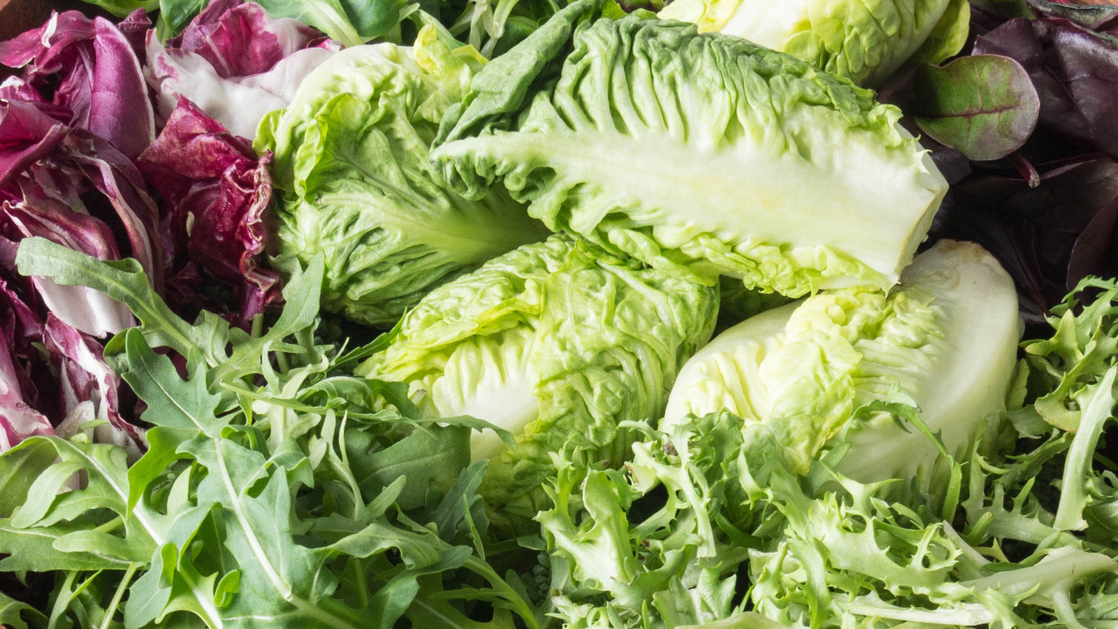 19 Types Of Lettuce For Salads, Sandwiches, And Beyond