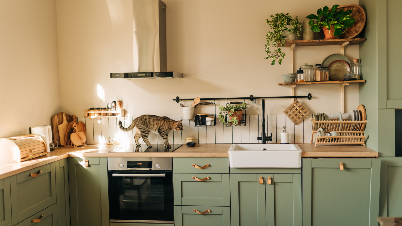 9 Food-Shaped HomeGoods Finds For The Cutest Kitchen Ever