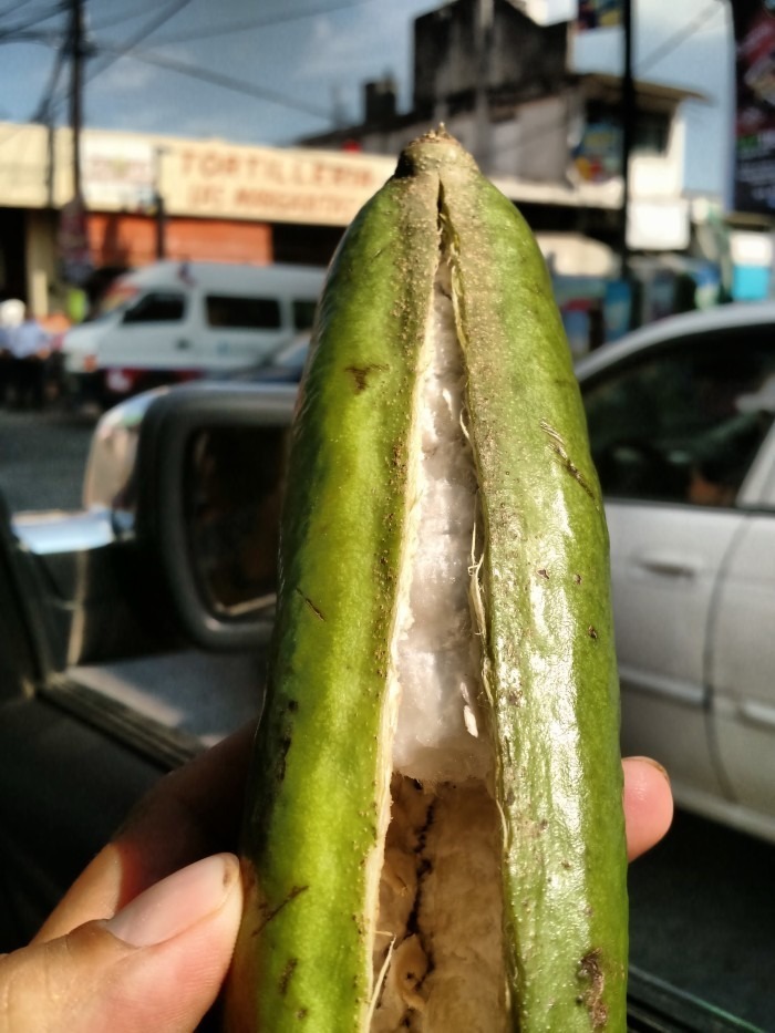 Danny Mena's Guide To Eating In And Around Mexico City - Food Republic