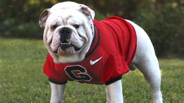 Heading To UGA For The Game? Here Are 8 Places To Eat Incredibly Well ...