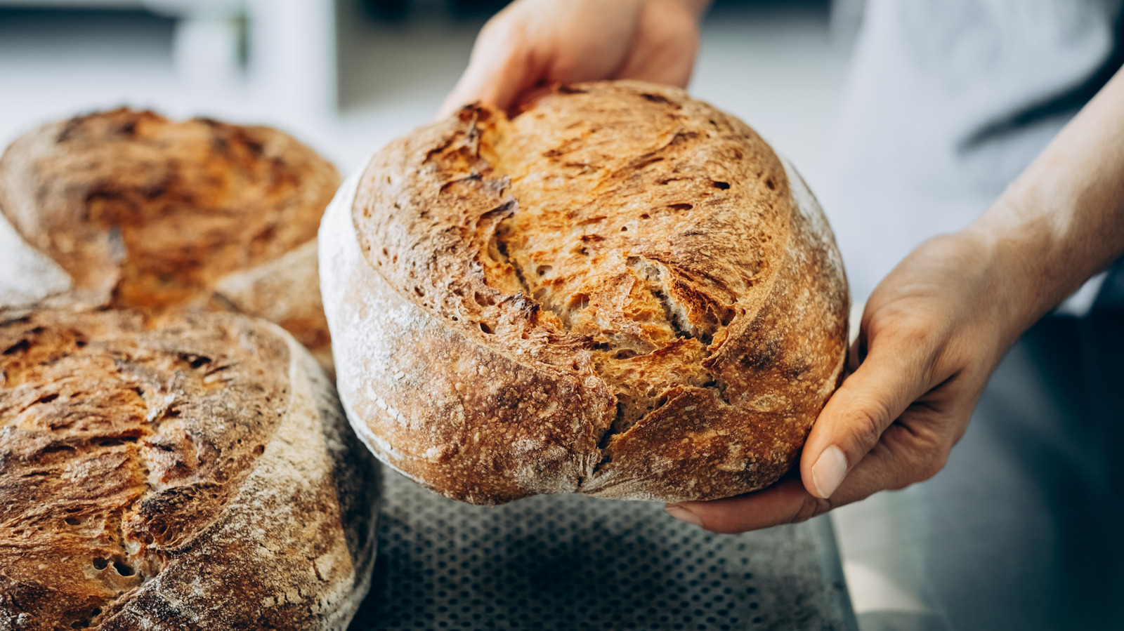 The Difference Between Same-Day And Overnight Bread Rising