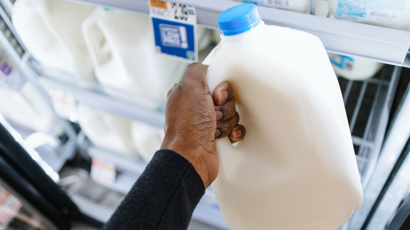 How To Open That Pesky Seal On Costco's Milk Gallons