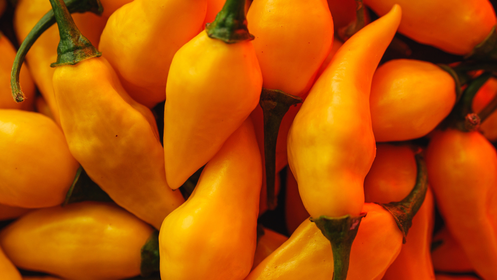 What Are Lemon Drop Chiles And Why They Should Be In Hot Sauce