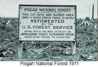 Reflecting On The Weeks Act And The Preservation Of Our Environment ...