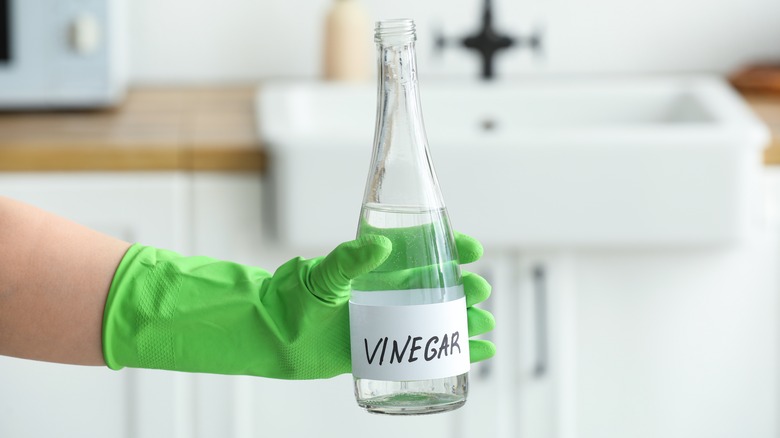 The Easy Tip To Clean Your Cloudy Drinking Glasses