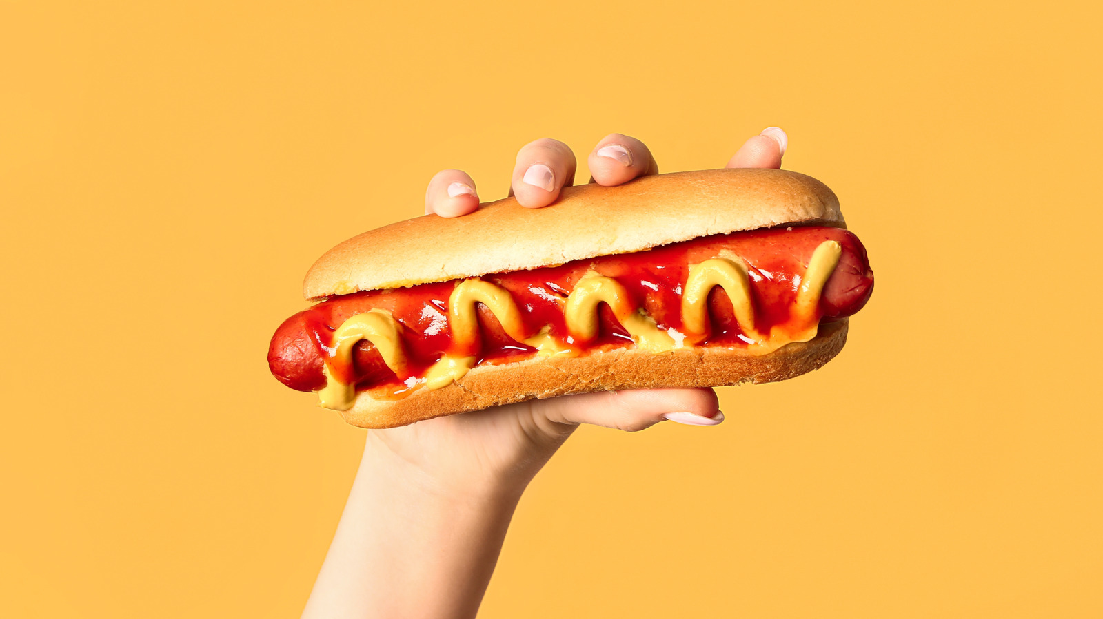The Record-Breaking Story Of The World's Largest Commercially Sold Hot Dog
