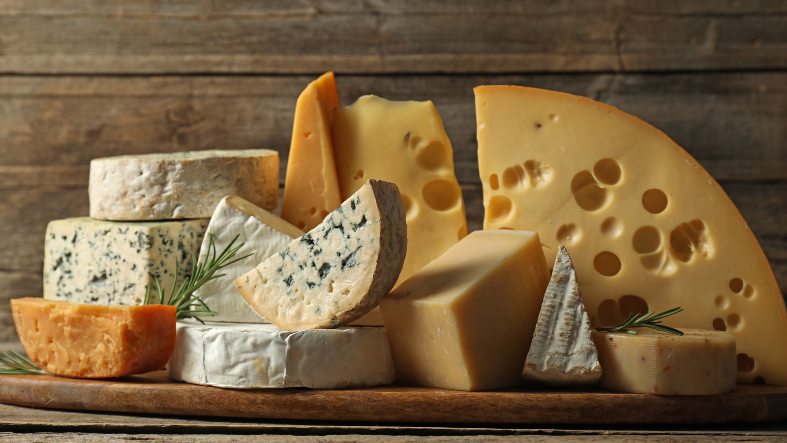Why Casu Marzu Is The World's Most Dangerous Cheese