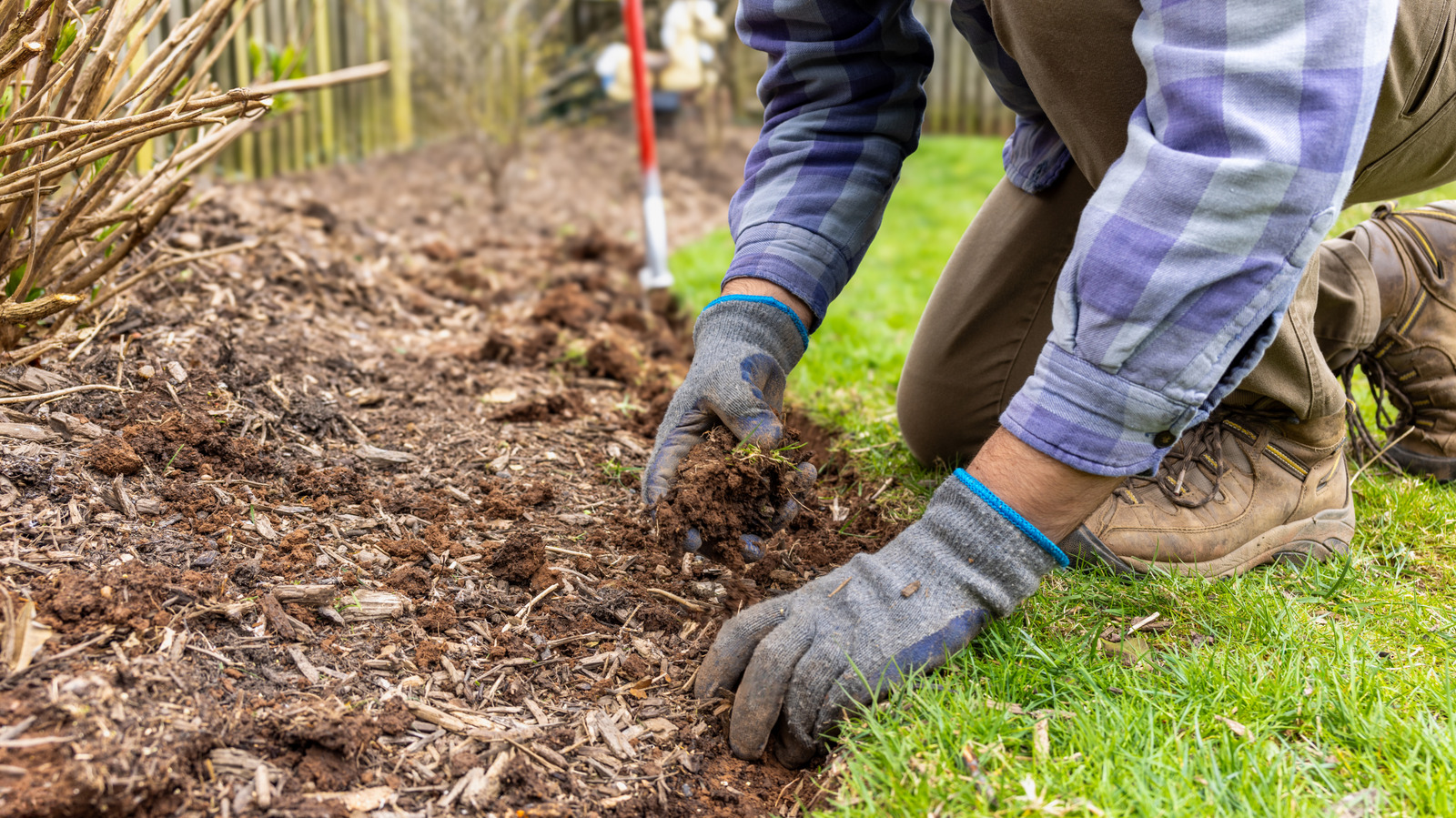 Try This Genius Cardboard Trick For Weed Control And Richer Garden Soil