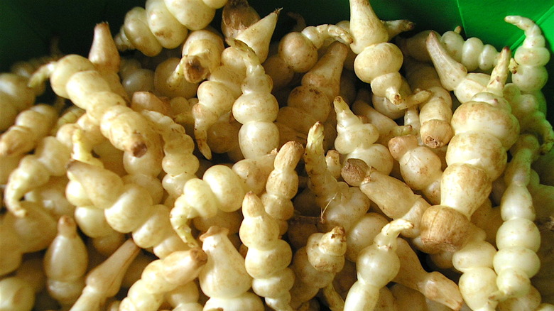 What Are Crosnes? The Sunchoke Alternative, Now In Season!
