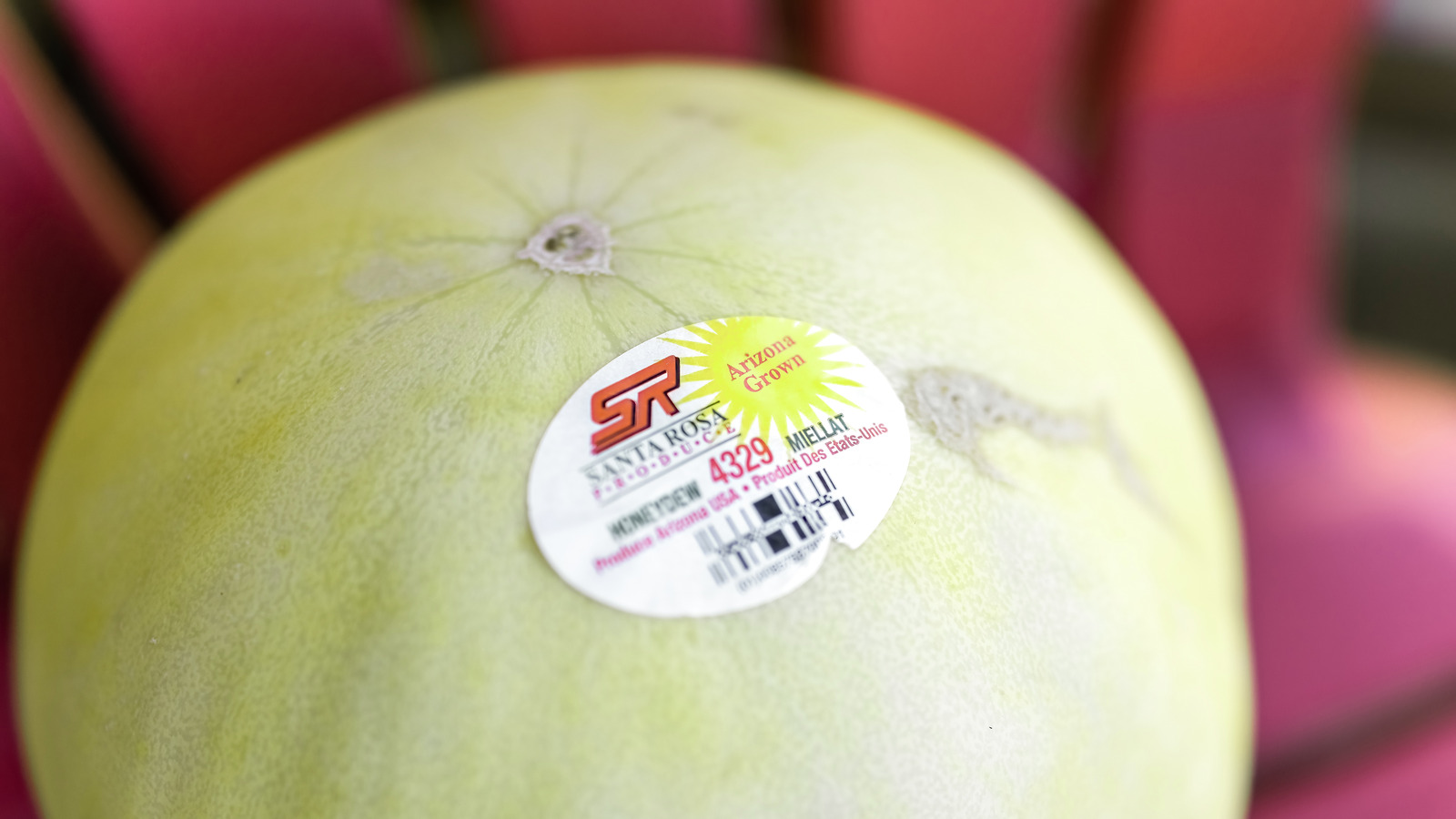 What Happens If You Accidentally Eat A Fruit Sticker? What Happens If You Accidentally Eat A Fruit Sticker?