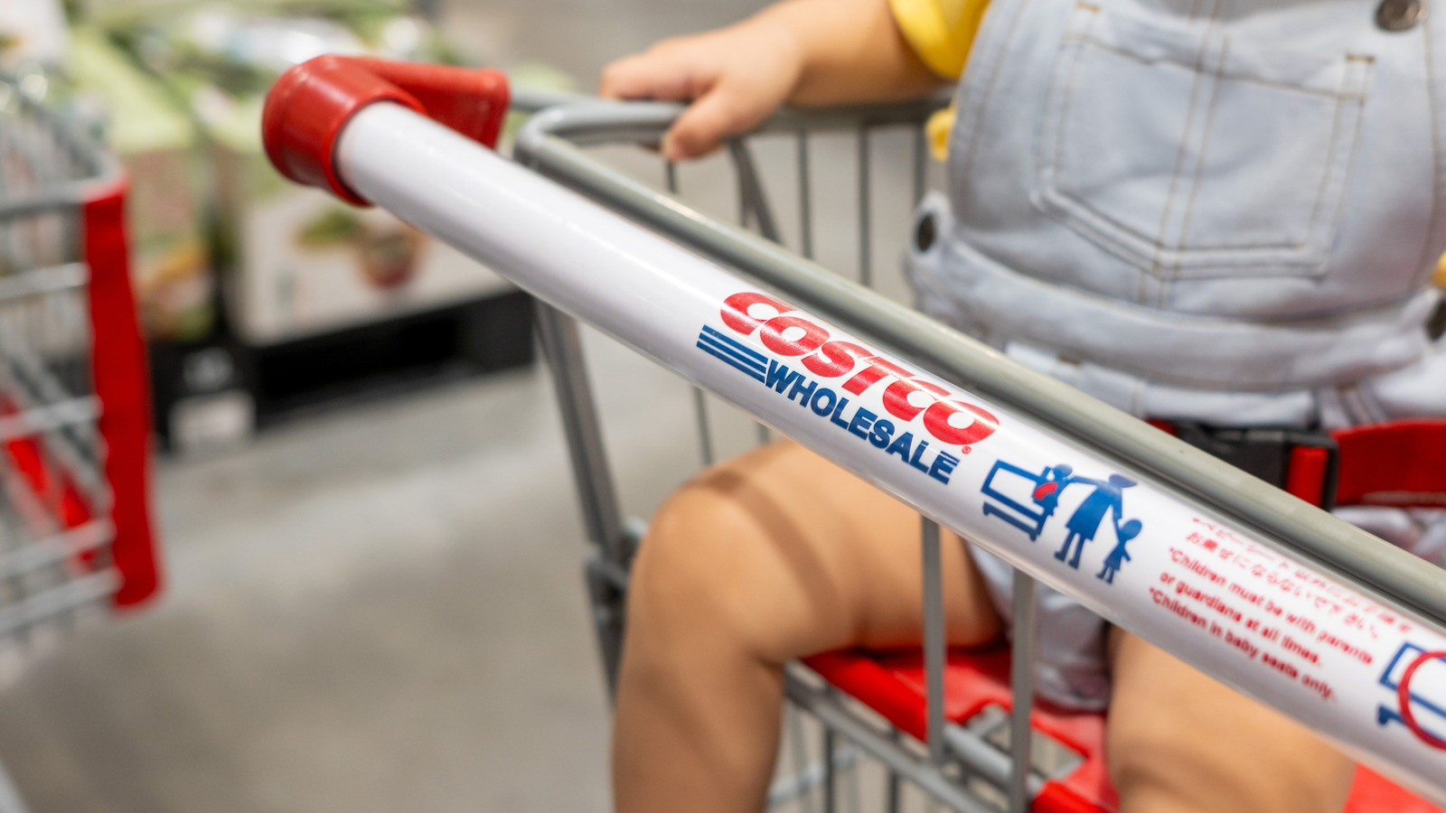 The Best New Costco Finds Hitting Shelves In November 2025