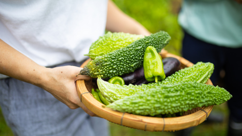 What Is Bitter Melon And How Do You Cook It?