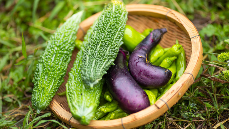 What Is Bitter Melon And How Do You Cook It?