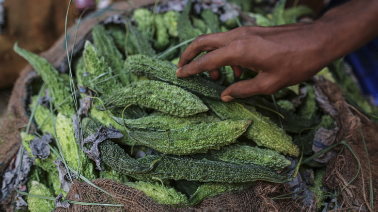 What Is Bitter Melon And How Do You Cook It?