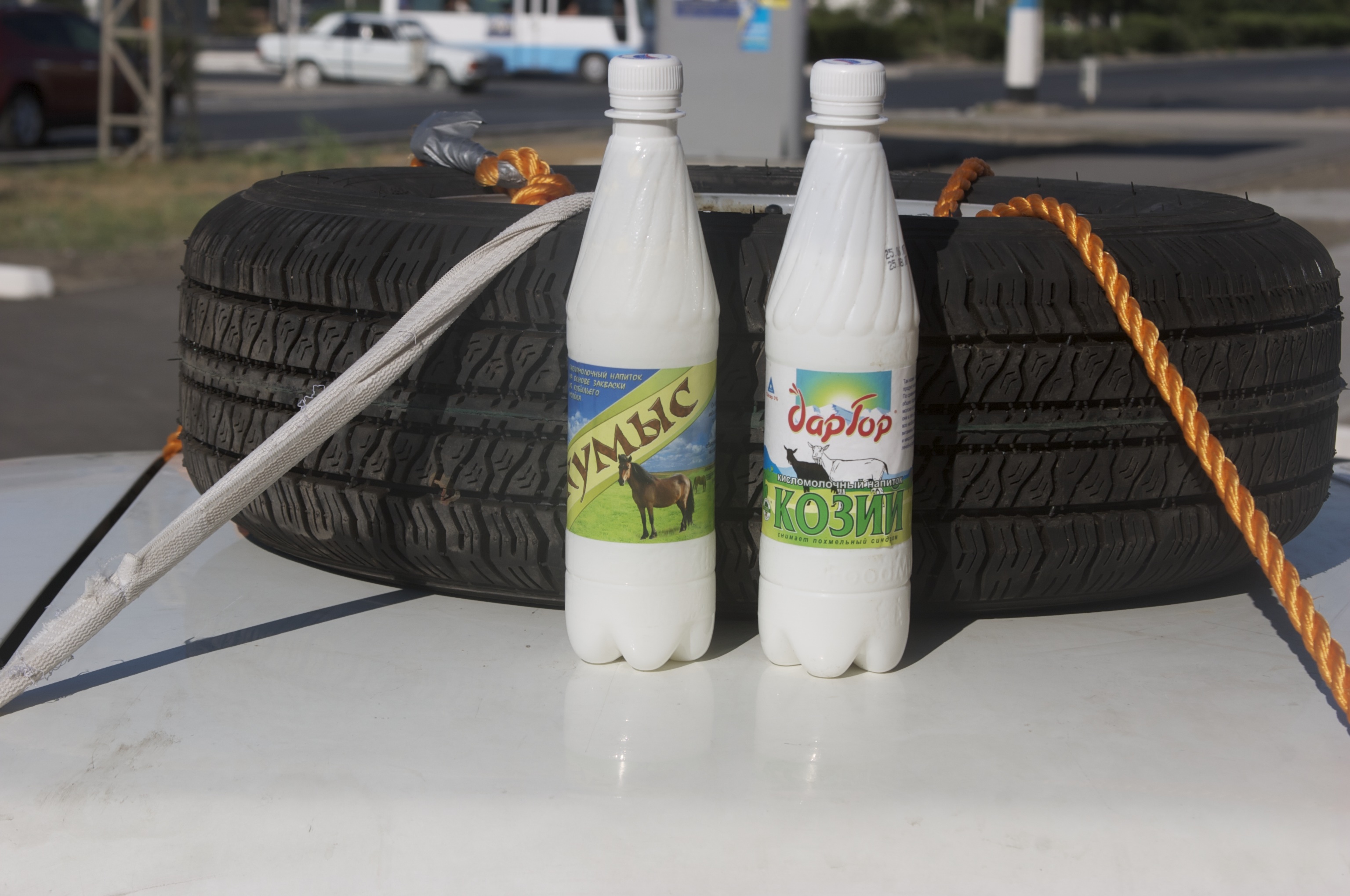 Care for a Glass of Fizzy Mare’s Milk? - Food Republic