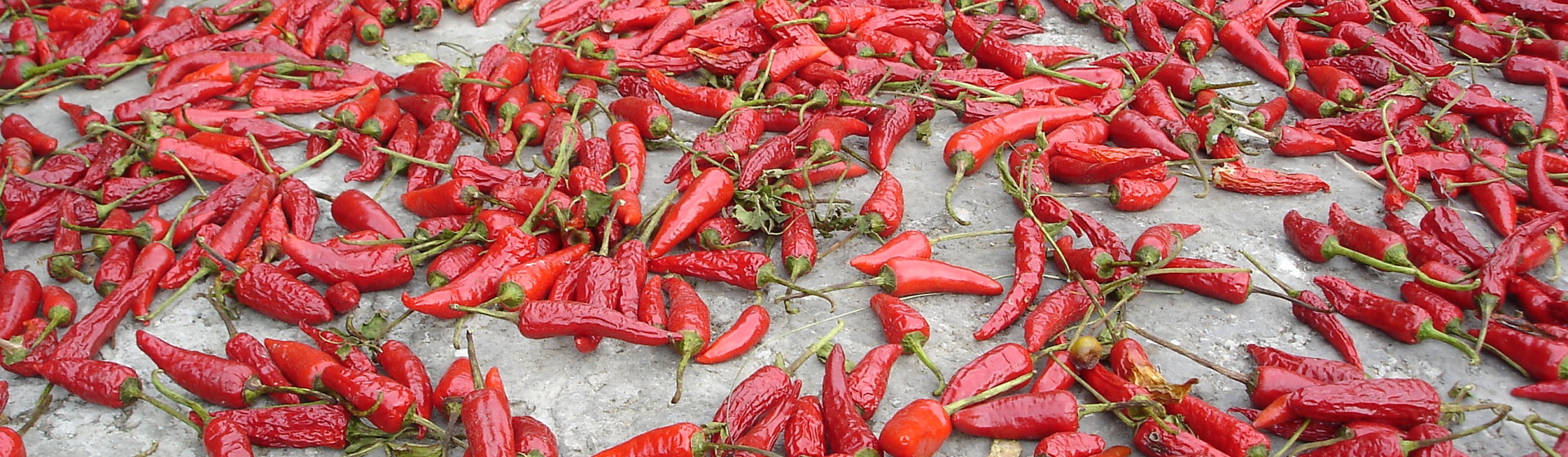 What Makes Food Spicy Food Republic