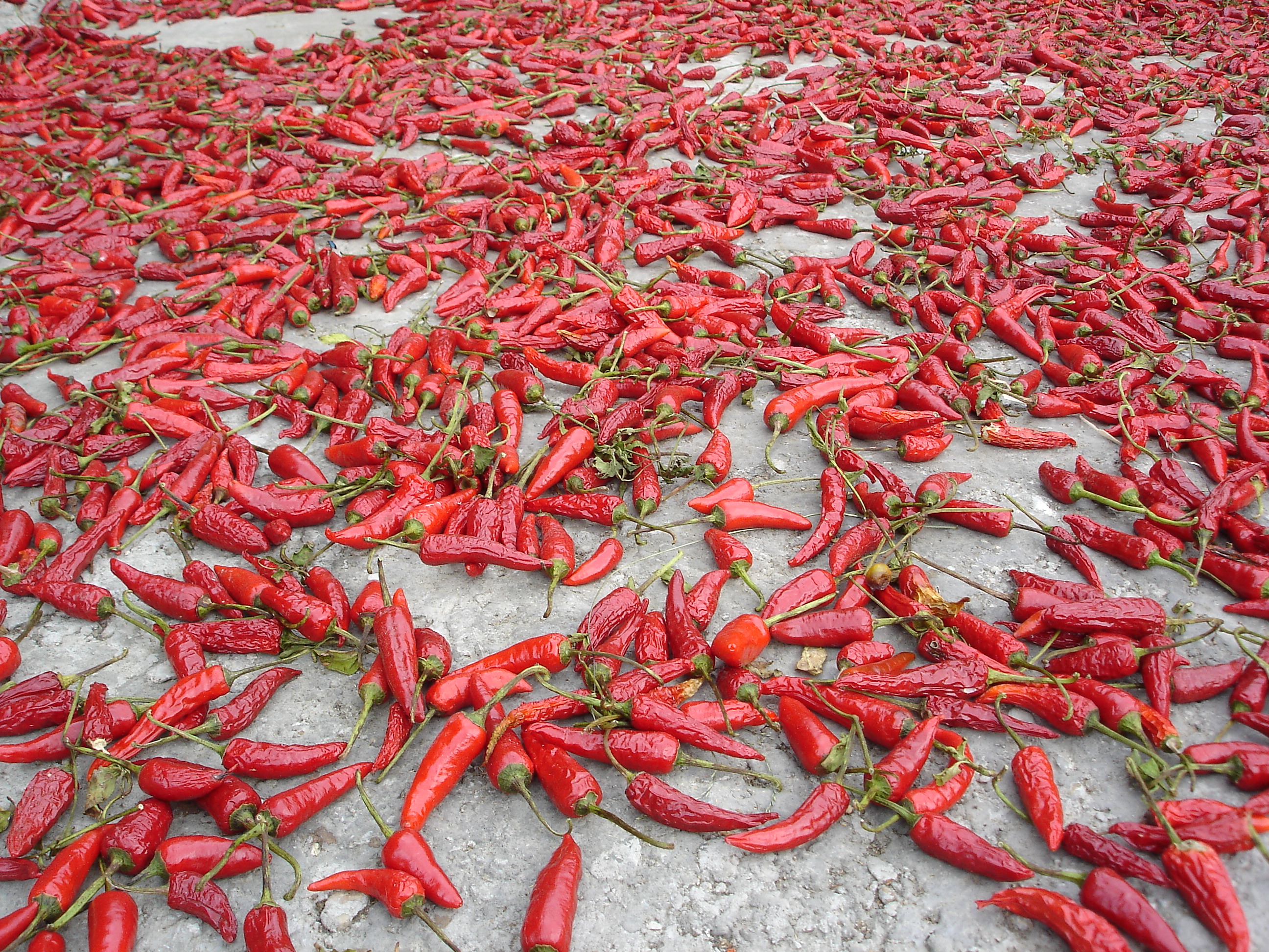 What makes food spicy? - Food Republic