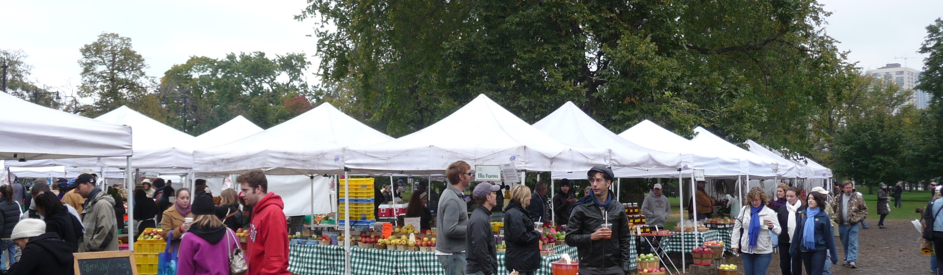 Is your green market really green? - Food Republic