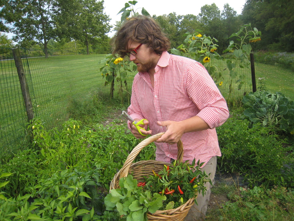 Just Cookin’ - Food Republic