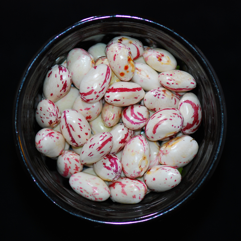 Beans, Beans, the Flatulent Fruit - Food Republic