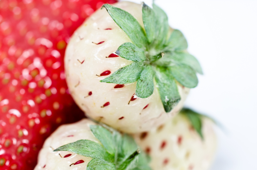Pineberries Are Not Albino Strawberries - Food Republic
