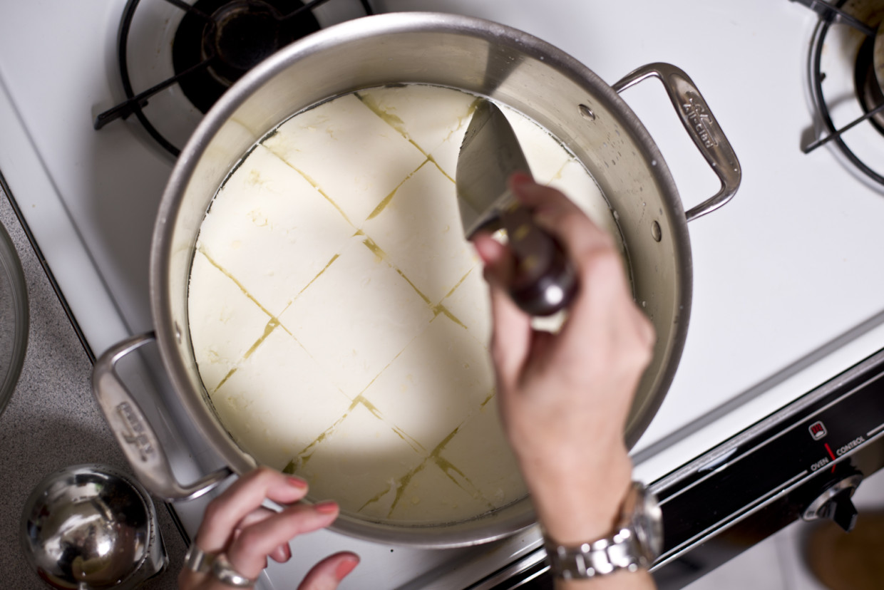 Cut the curds - Food Republic