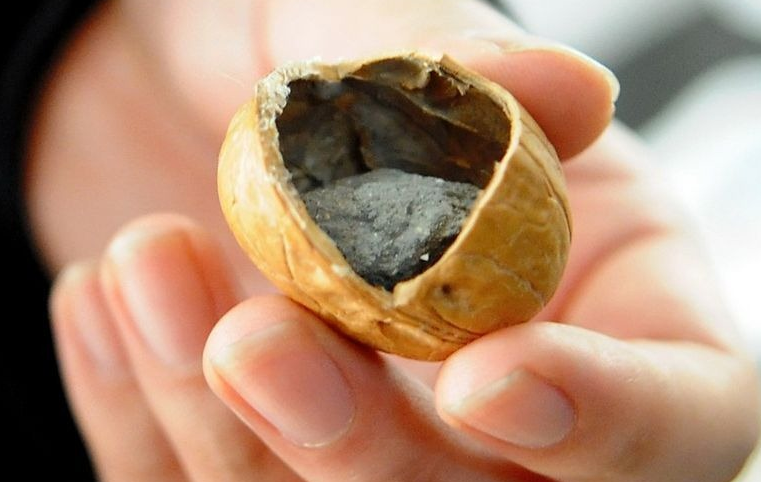 In China, Very Bad People Are Selling 'Fresh' Walnuts Filled With ...