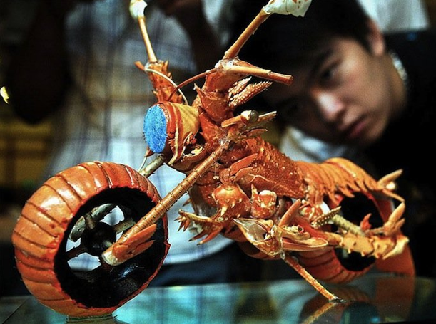 Our 15 Favorite Lobster Stories Ever - Food Republic