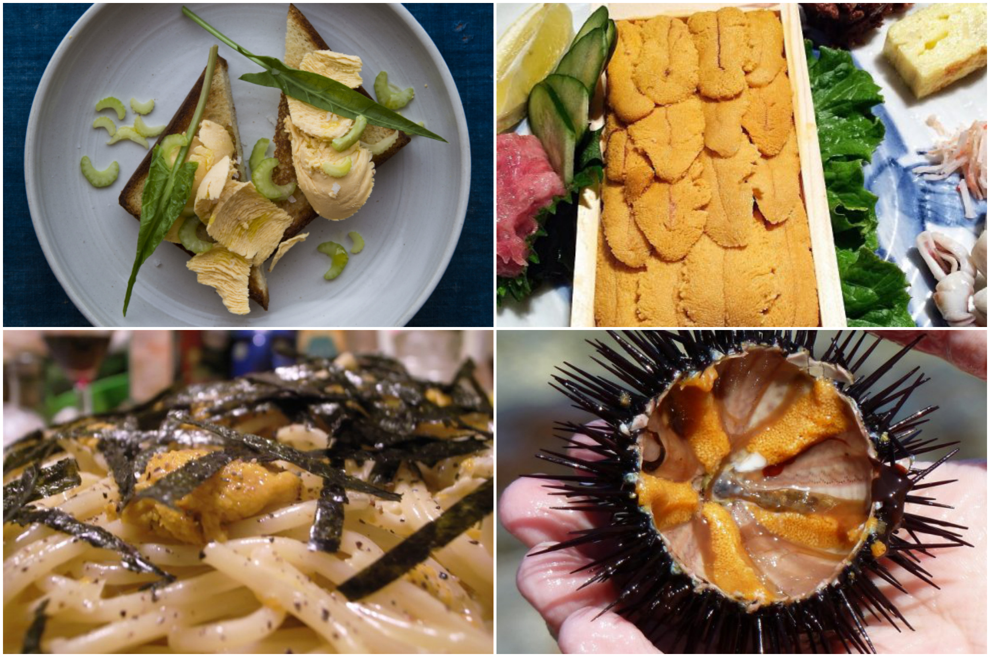 9 Reasons We Love Uni And Crave That Sweet, Sexy Sea Urchin - Food Republic