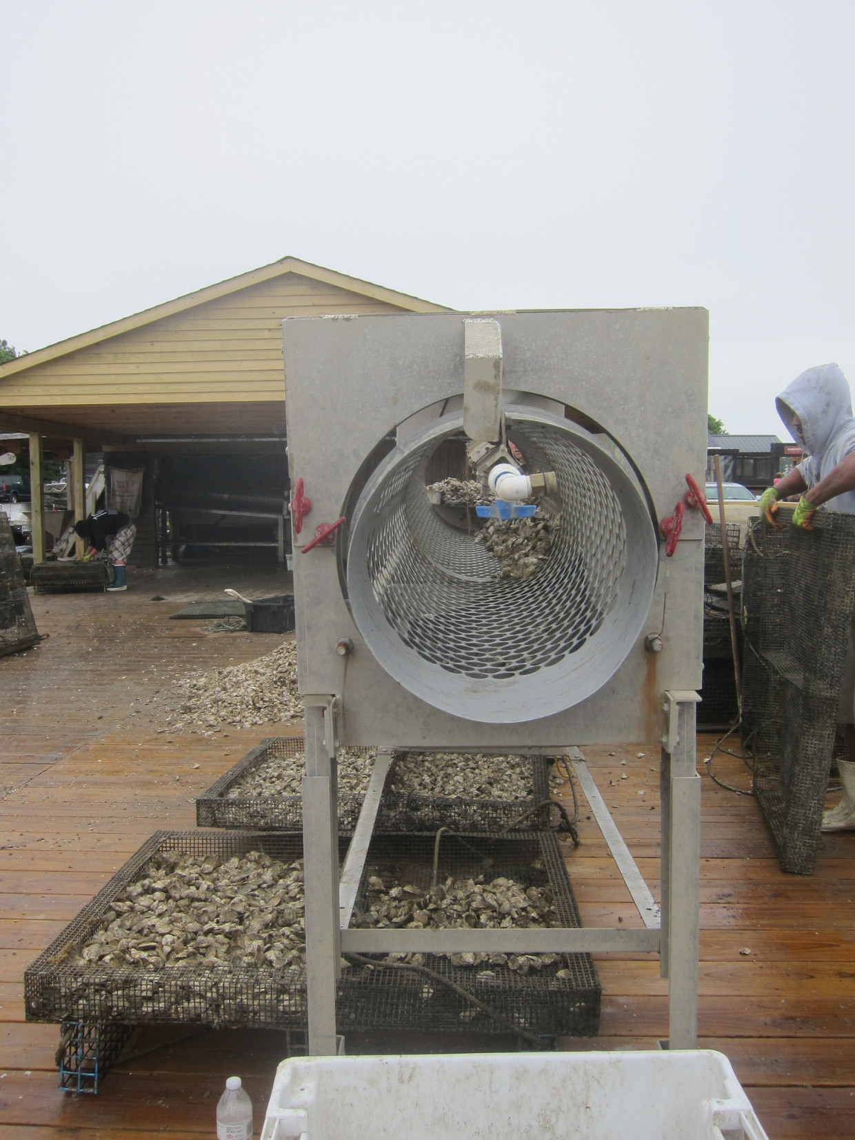 At Rappahannock Oyster Company, Ryan And Travis Croxton Are ...