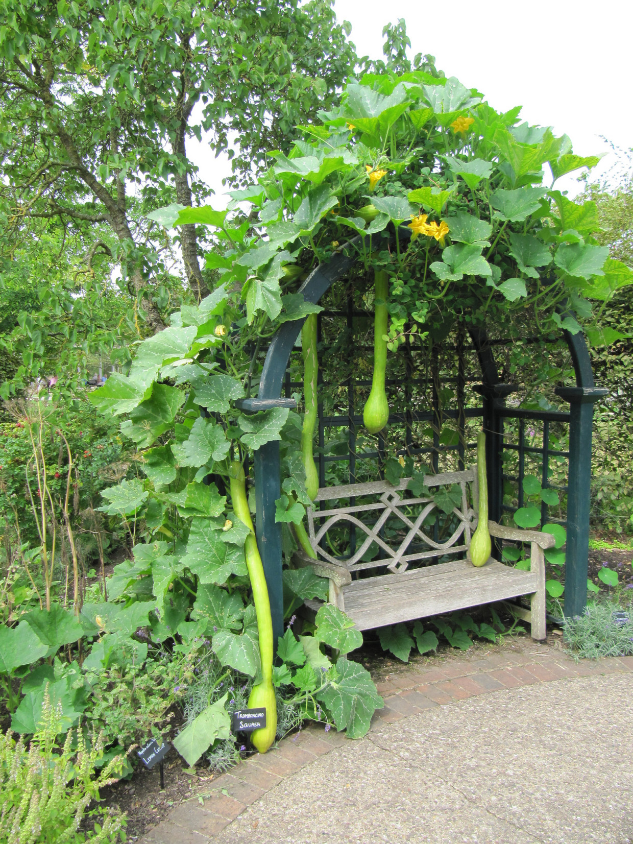 Unusual Ingredients To Look For At The Market Right Now