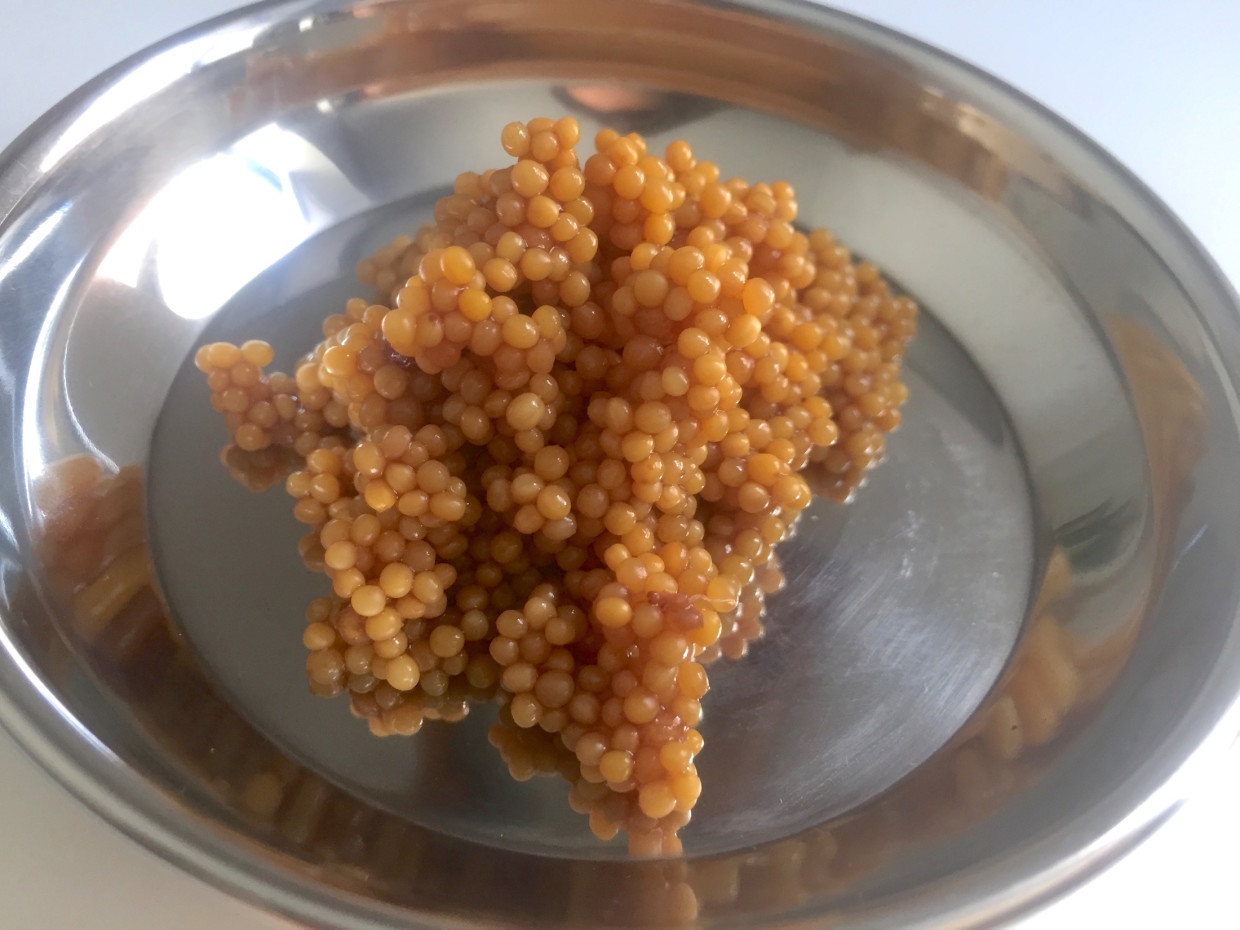Pickled Mustard Seeds: The Poor Man's Caviar - Food Republic