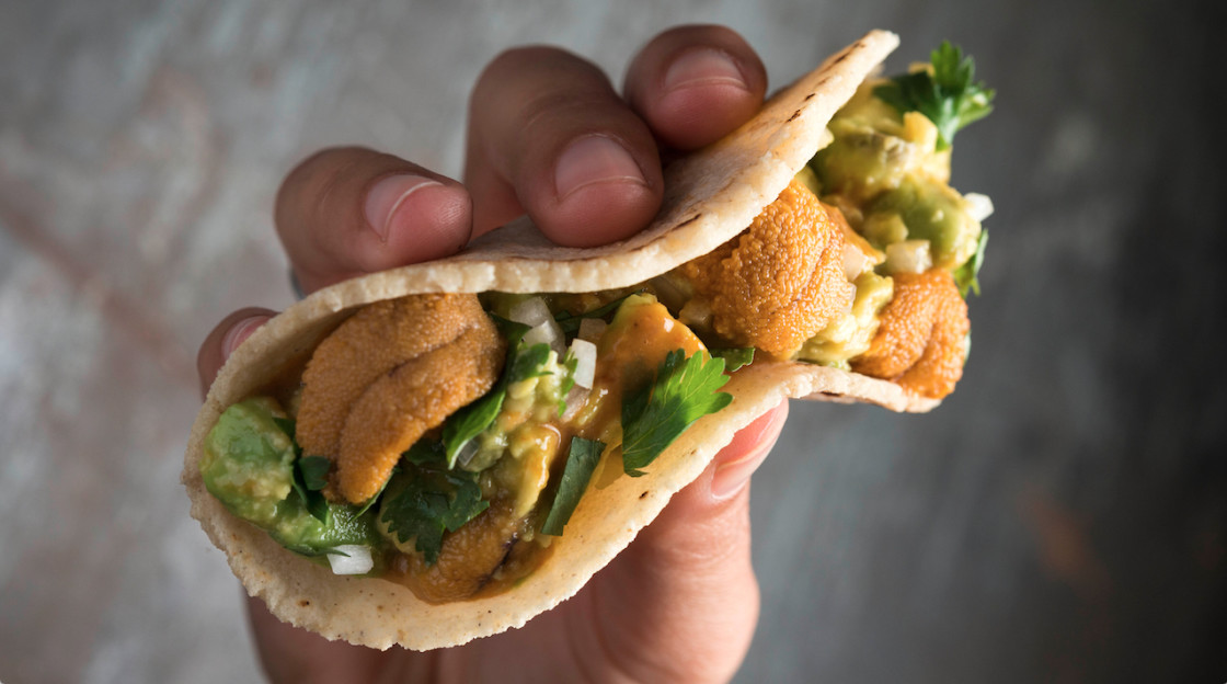 Taco Tuesday Problems: So Many Tacos, So Little Time