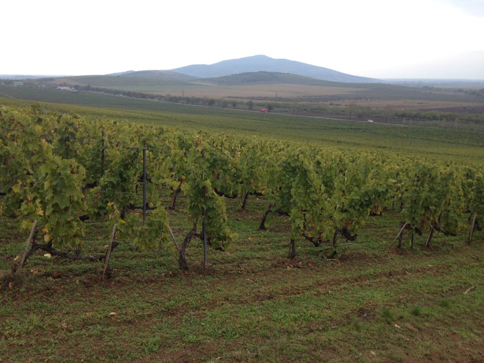 What Is Terroir? - Food Republic