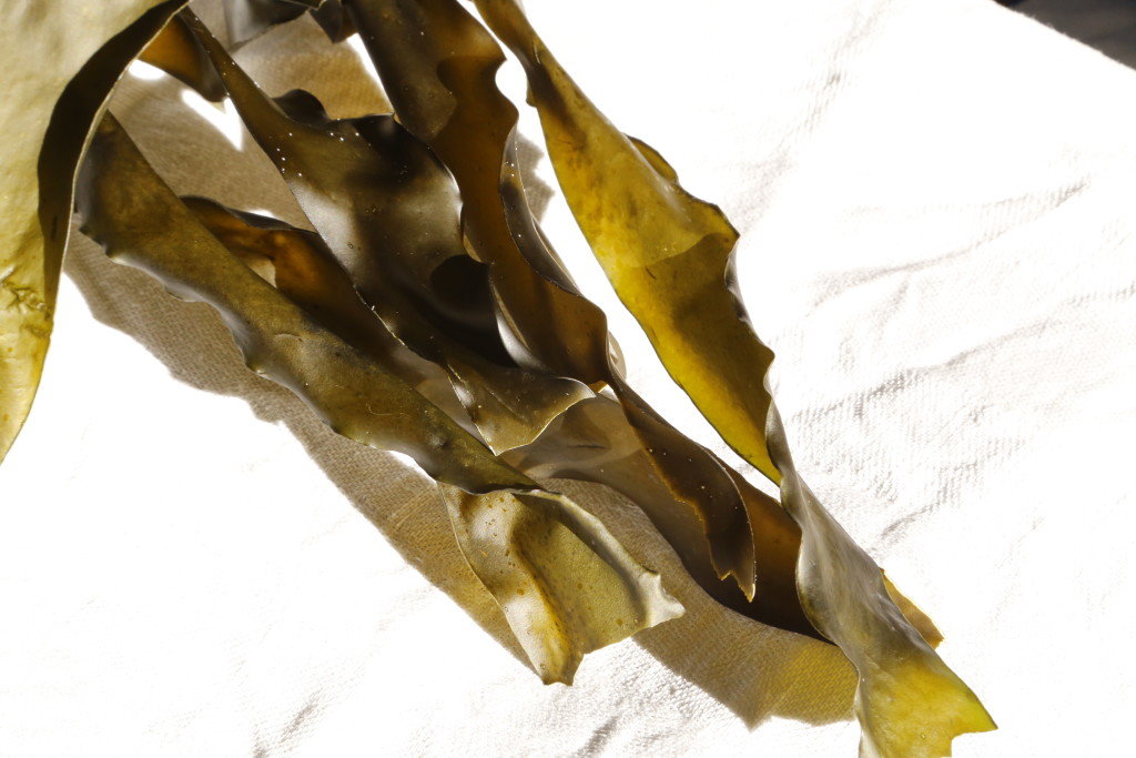 The Definitive Guide To Edible Seaweed - Food Republic