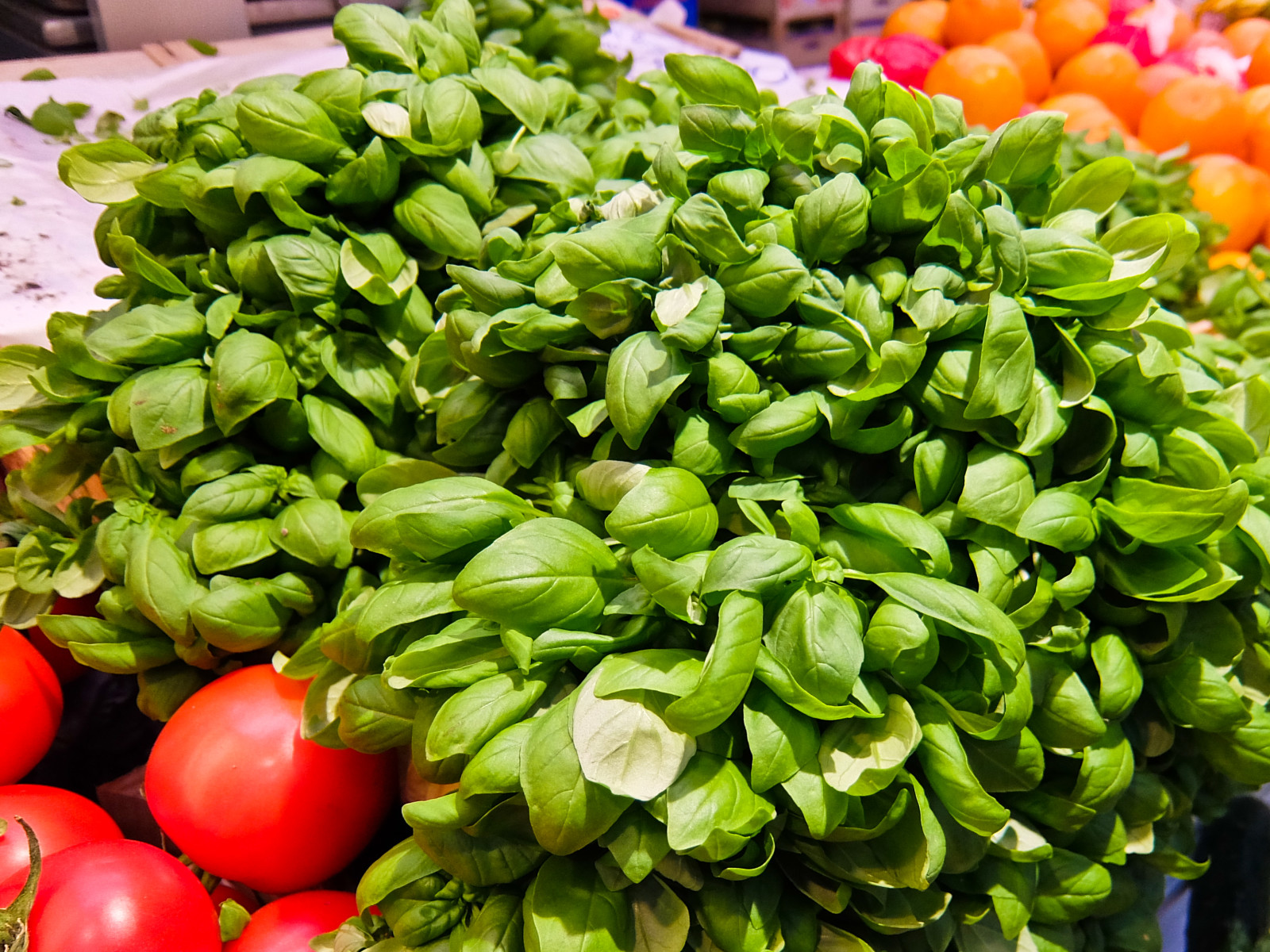 Pasta, Focaccia And Gelato: Where To Eat And Shop For Food In Genoa ...