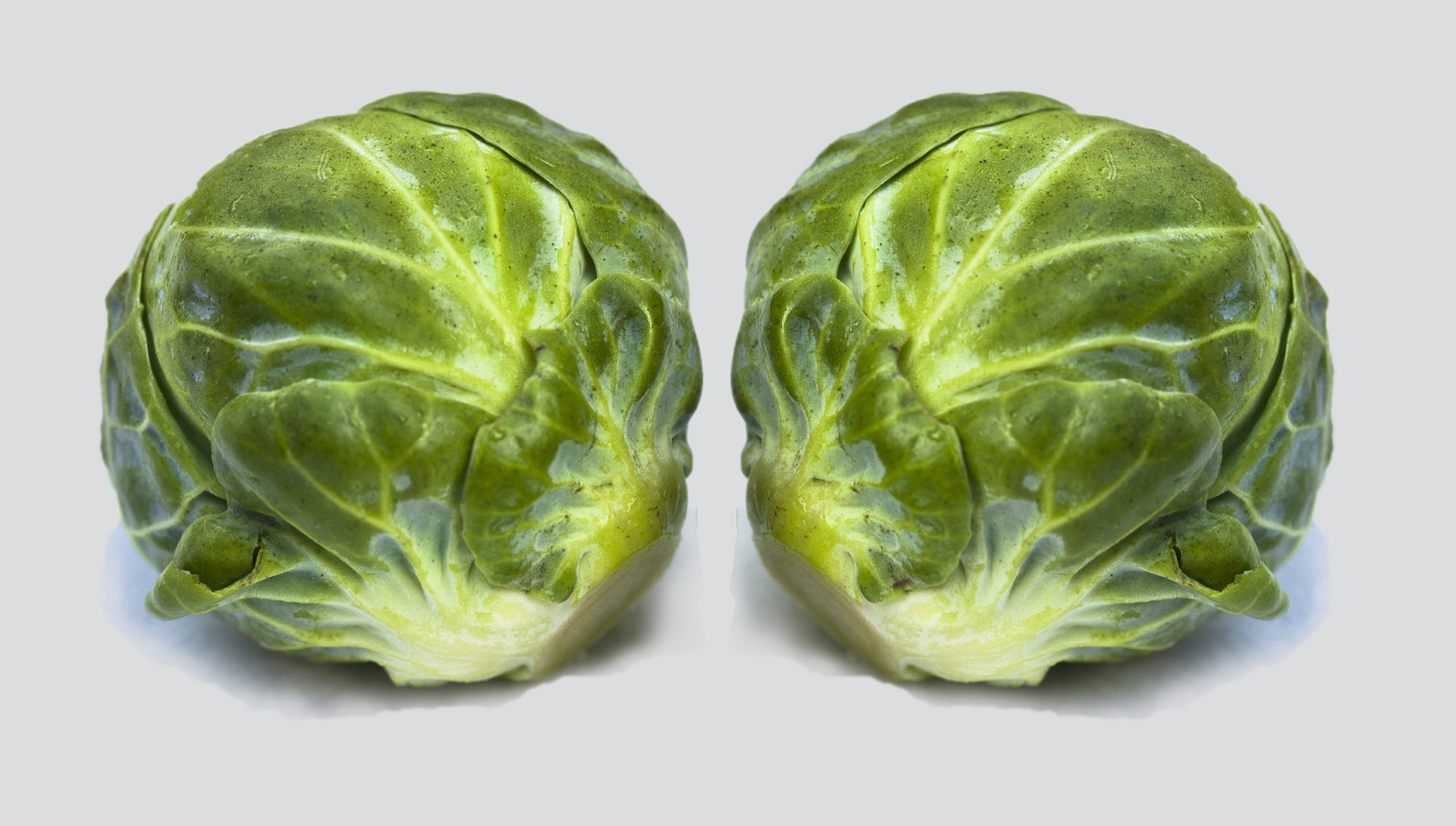 sprouts - Food Republic