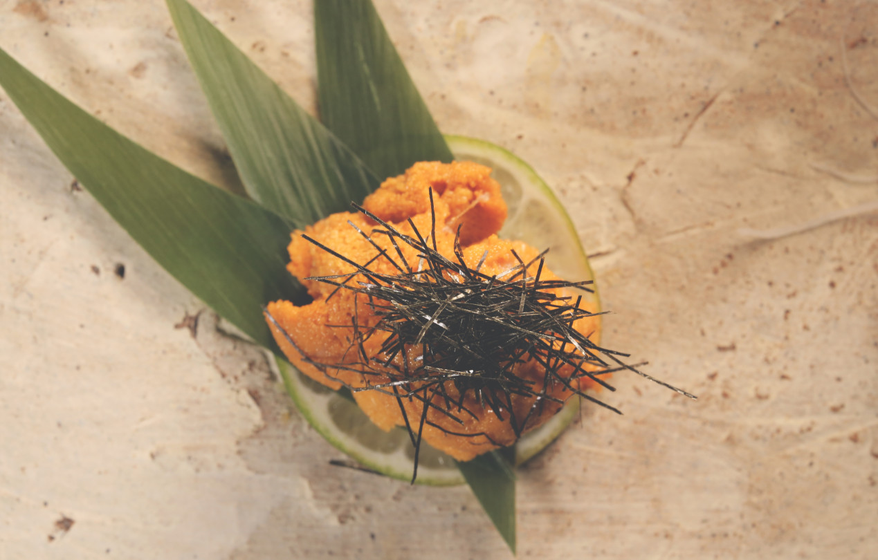 Wat zijn de verschillende soorten zee-egel? | Rencana