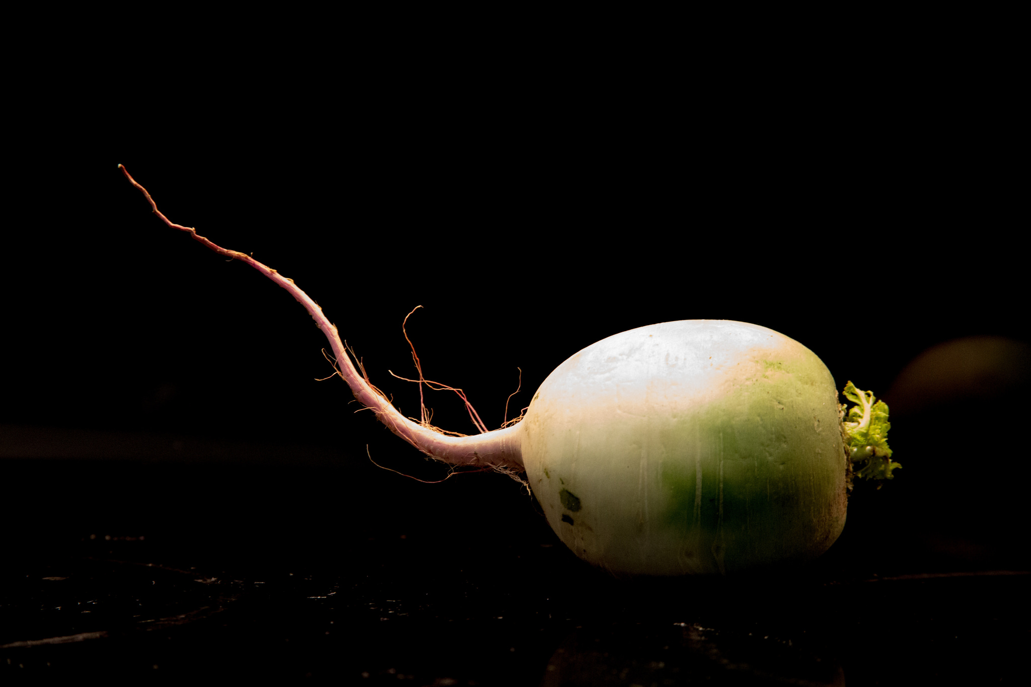 Now In Season: Beauty Heart Radishes (Plus A Recipe) - Food Republic