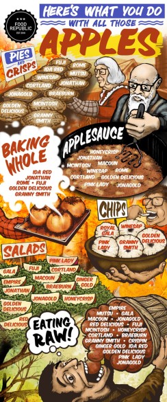An Illustrated Guide To Apple Varieties And How To Use ’Em - Food Republic