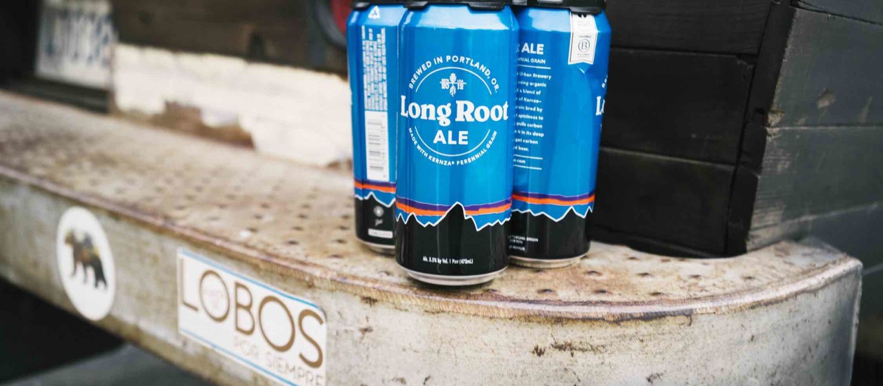 Patagonia's Latest Venture In Sustainability Is Beer - Food Republic