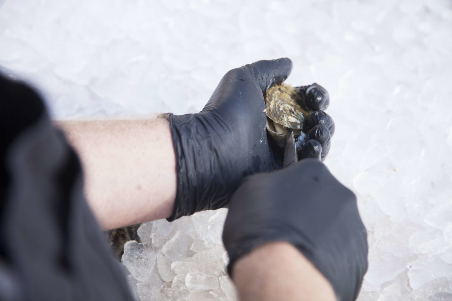 How To Shuck Oysters Like A Pro - Food Republic