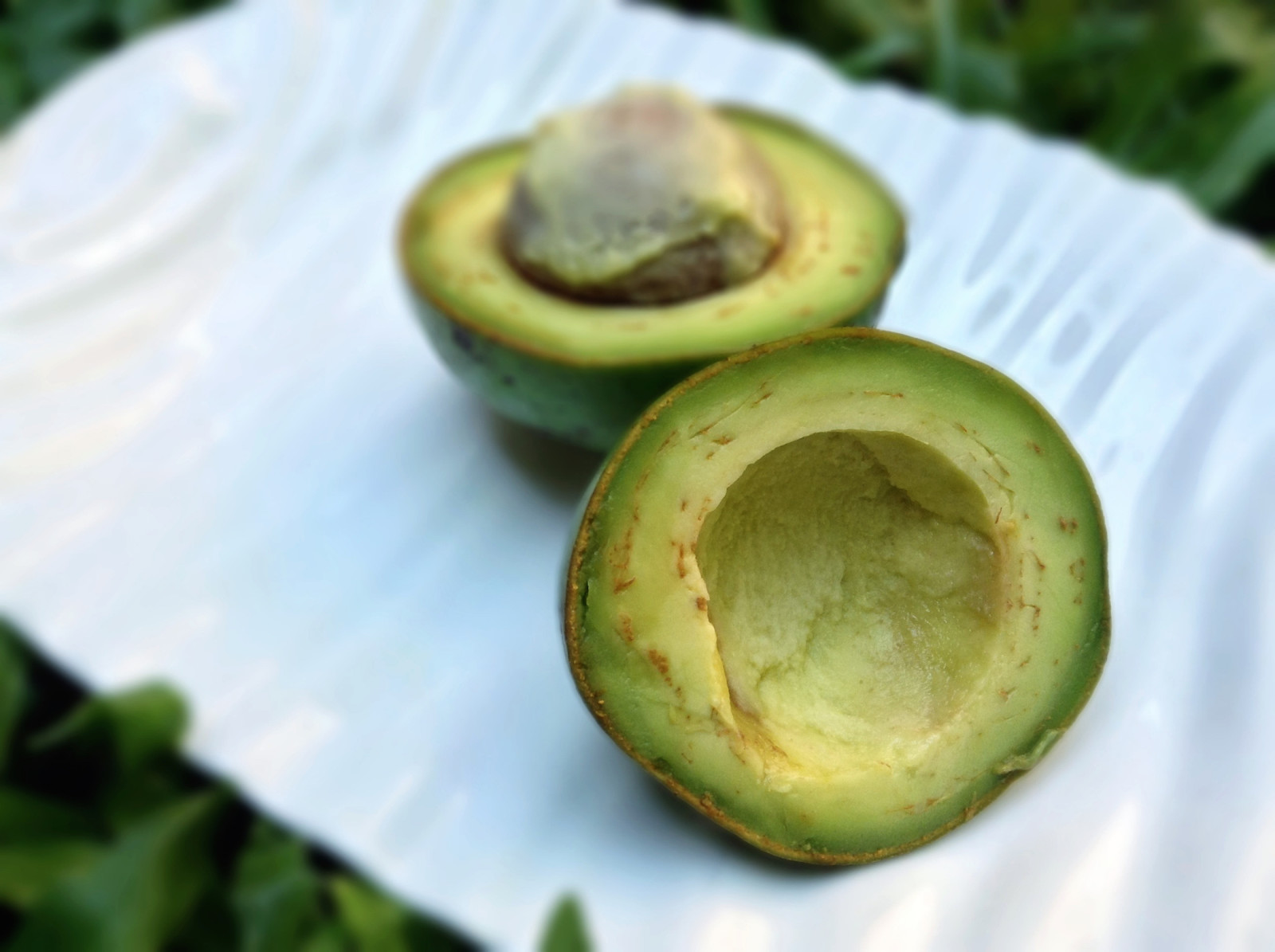 Get To Know 8 Healthy Foods From The American West - Food Republic