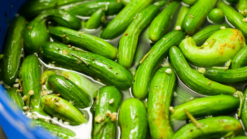 Let Me Count The Ways I Love Pickles - Food Republic