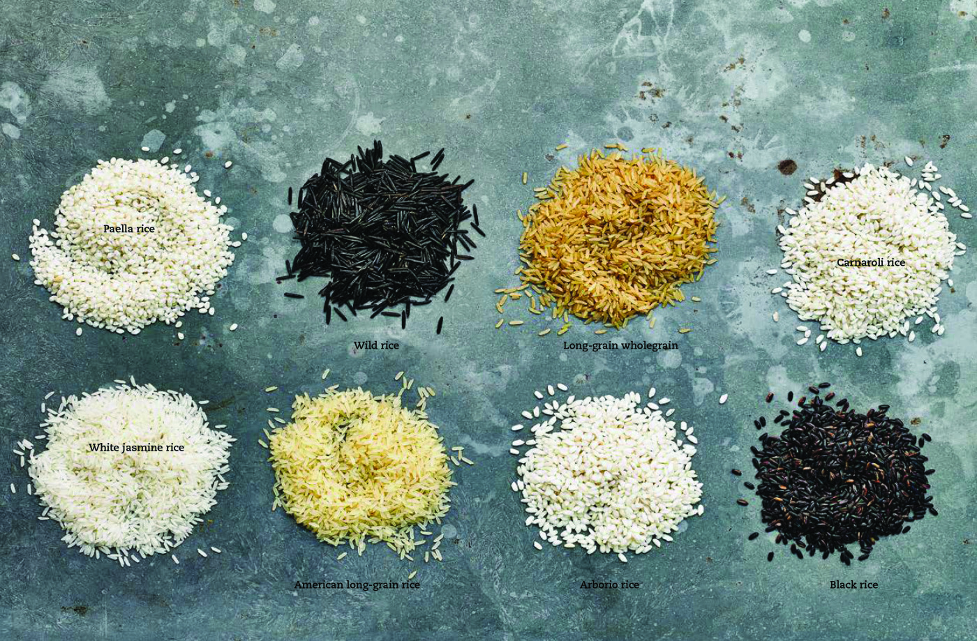 What Are All The Kinds Of Rice Let s Talk About 19 Of Them 