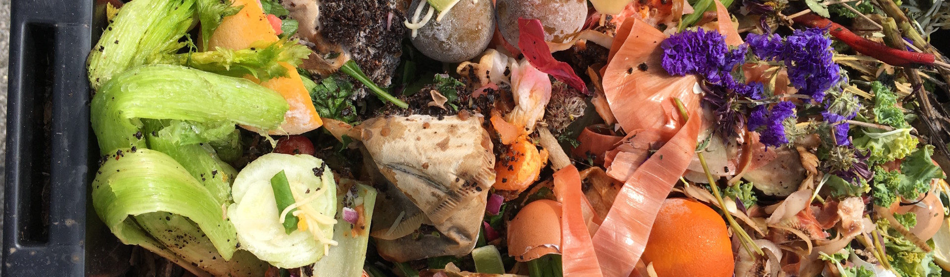 Ugly Produce, Killer Compost: Welcome To Zero-Waste Week!