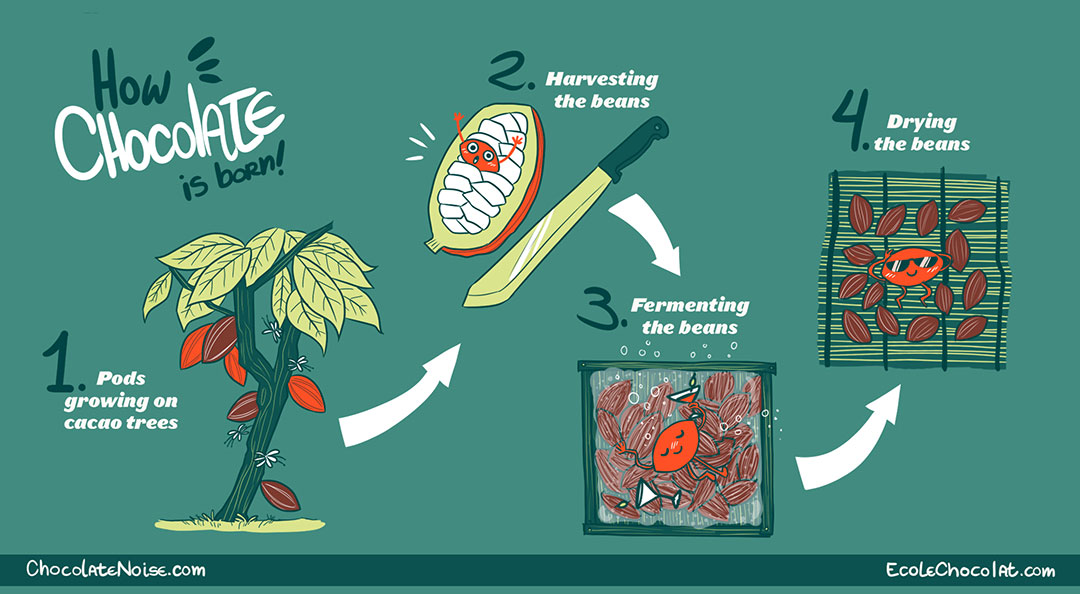 These Cartoons Will Make You An Instant Chocolate Expert